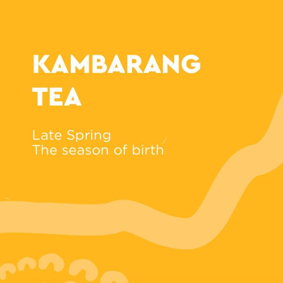Six Seasons Kambarang Tea | FISH - Foundation for Indigenous ...