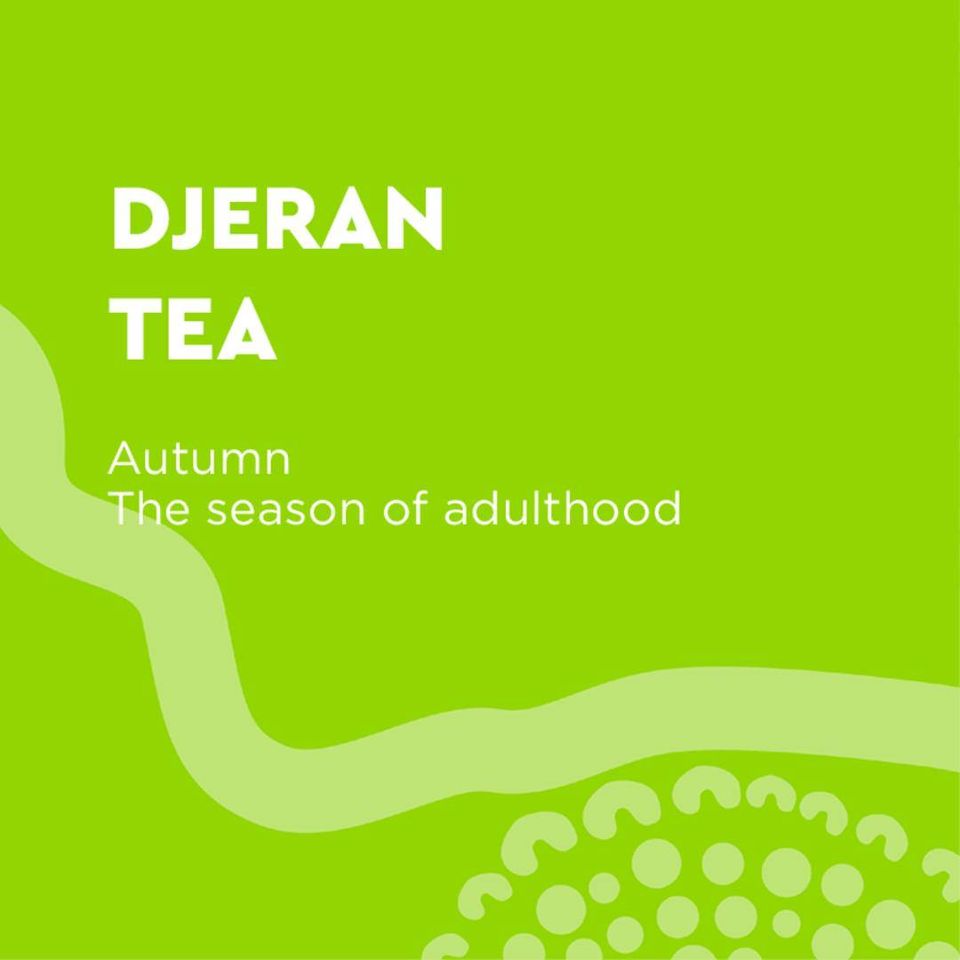 Six Season Djeran Tea | FISH - Foundation for Indigenous Sustainable Health