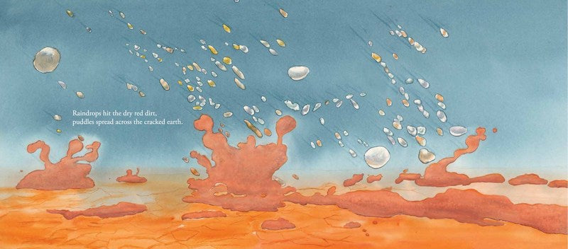 Big Fella Rain | FISH - Foundation for Indigenous Sustainable Health