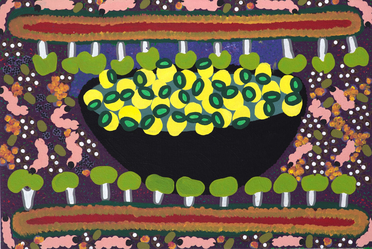 Bulaka Swamp | FISH - Foundation for Indigenous Sustainable Health