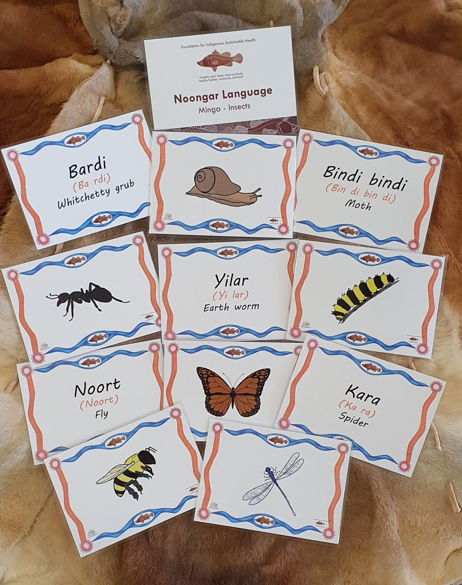 Noongar Language Cards - Insects | FISH - Foundation for Indigenous ...