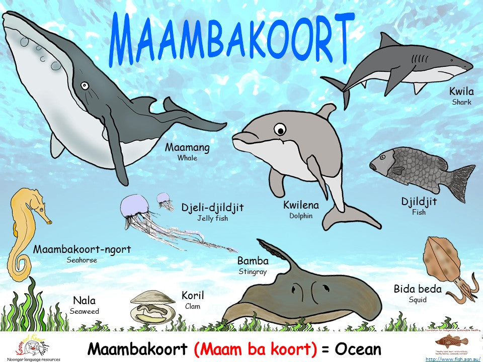 Noongar Language Posters | FISH - Foundation for Indigenous Sustainable ...